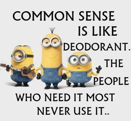 Danas je pravo vrijeme da počnete koristiti zdrav razum