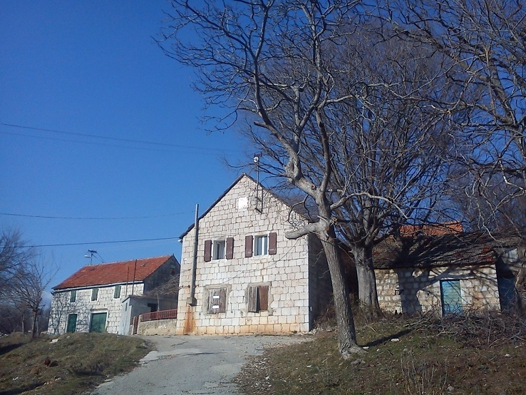Baba Mara - Studentski.hr